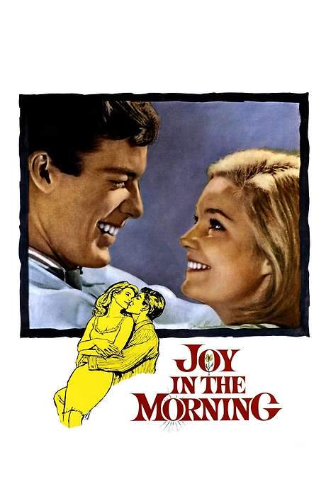 Joy (2015) Full Movie Summary & Plot Explained