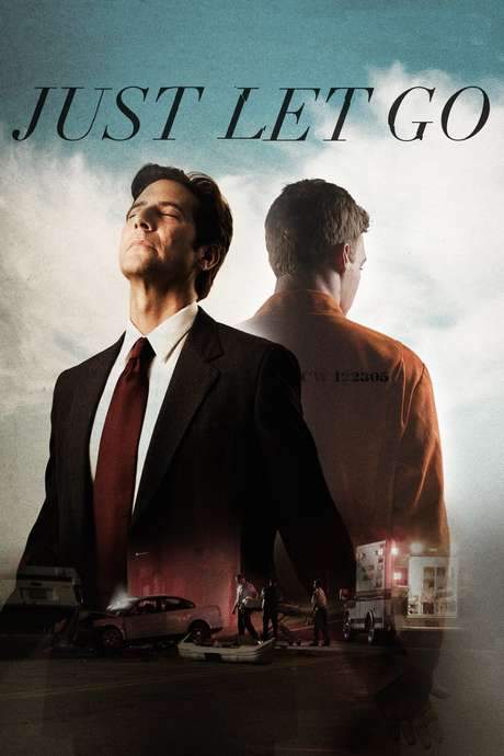 Just Let Go (2015) – Plot Summary, Cast, Ratings & More | What's After ...