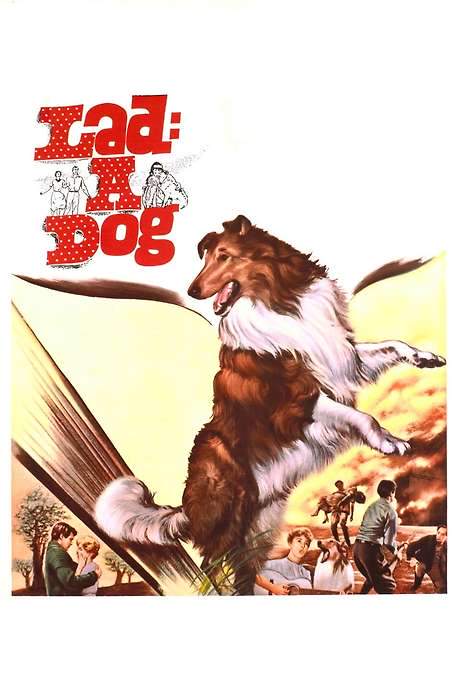 Lassie (1994) Full Movie Summary & Plot Explained