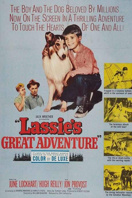 Lassie (1994) Full Movie Summary & Plot Explained