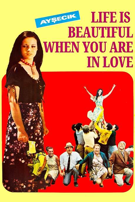 Life Is Beautiful (1998) Full Movie Summary & Plot Explained