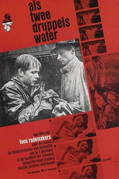 Like Two Drops of Water (1963) Timeline – Scene-by-Scene Guide