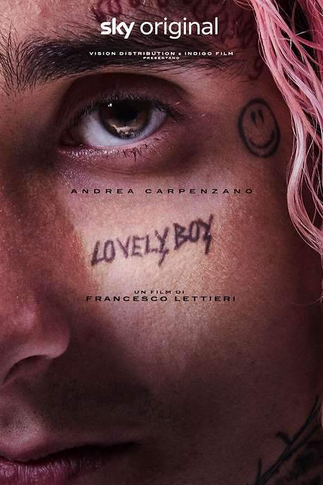 Beautiful Boy (2018) Full Movie Summary & Plot Explained