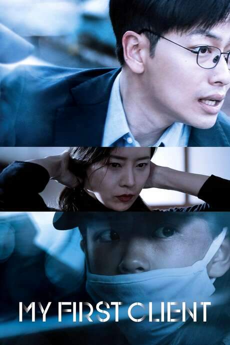 The Client (1994) Full Movie Summary & Plot Explained