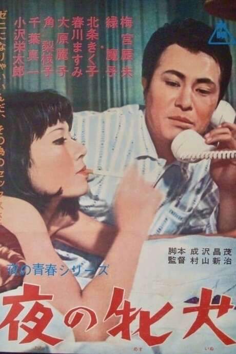 Night Bitch (1966) Full Movie Summary & Plot Explained
