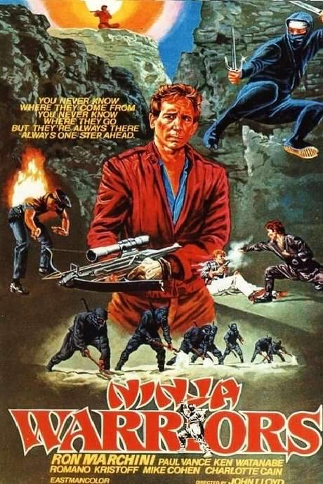 Enter the Ninja (1981) Full Movie Summary & Plot Explained