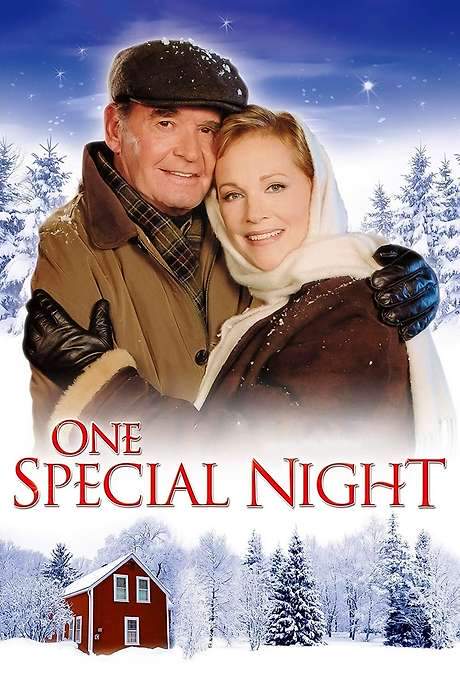 One Special Night (1999) Full Movie Summary & Plot Explained