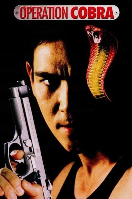 Cobra (1986) Full Movie Summary & Plot Explained