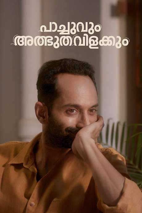 Thelma (2024) Full Movie Summary & Plot Explained