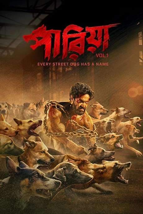 Pariah (2011) Full Movie Summary & Plot Explained