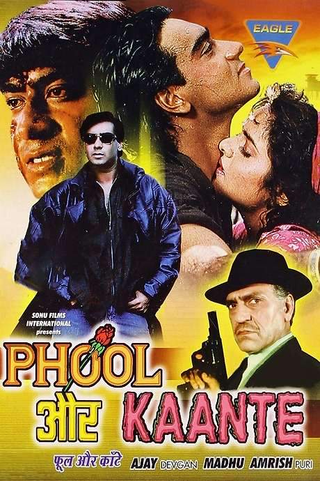 Apne (2007) Full Movie Summary & Plot Explained