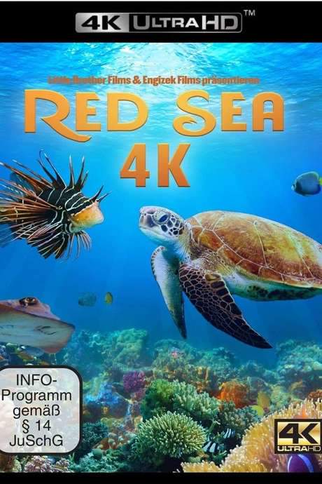 Red Sea (2016) Full Movie Summary & Plot Explained