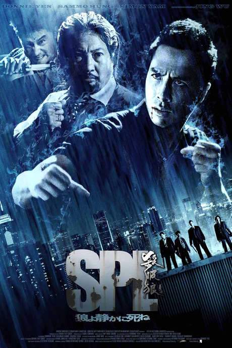 SPL: Kill Zone (2005) Spoiler-Free Movie Summary & Plot Overview