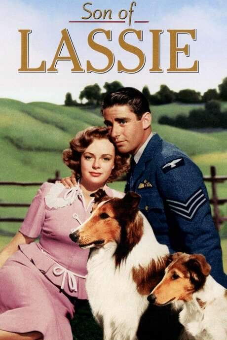 Lassie (1994) Full Movie Summary & Plot Explained