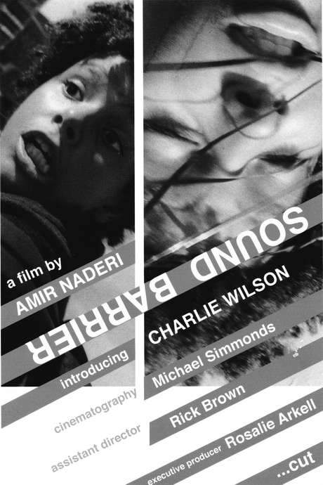 The Sound Barrier (1952) – Plot Summary, Cast, Ratings & More | What's ...