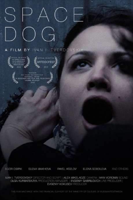 A Dog's Way Home (2019) Full Movie Summary & Plot Explained