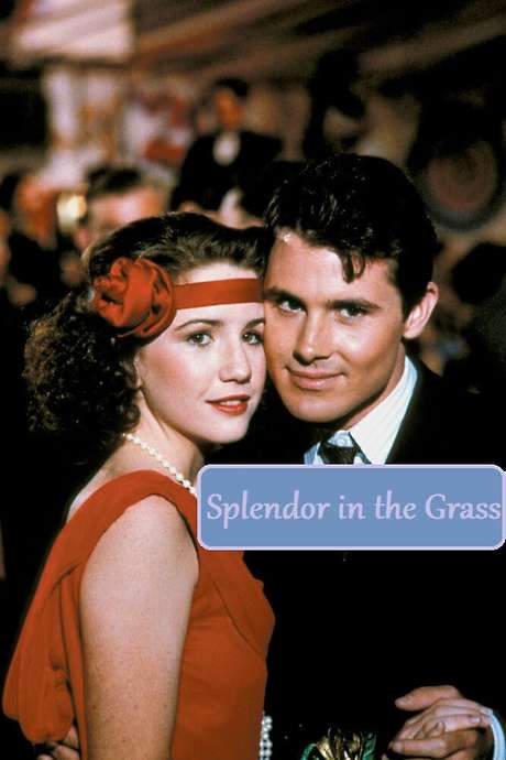 Splendor in the Grass (1981) Characters, Themes & Settings