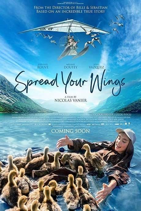 Fly Away Home (1996) Full Movie Summary & Plot Explained