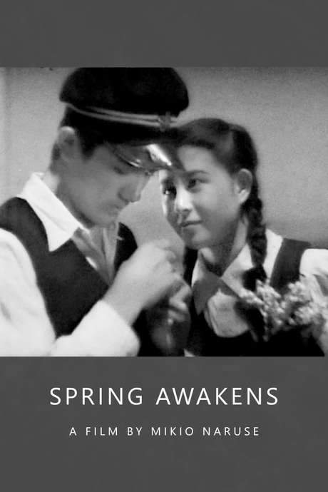Spring, Summer, Fall, Winter... and Spring (2004) Full Movie Summary ...