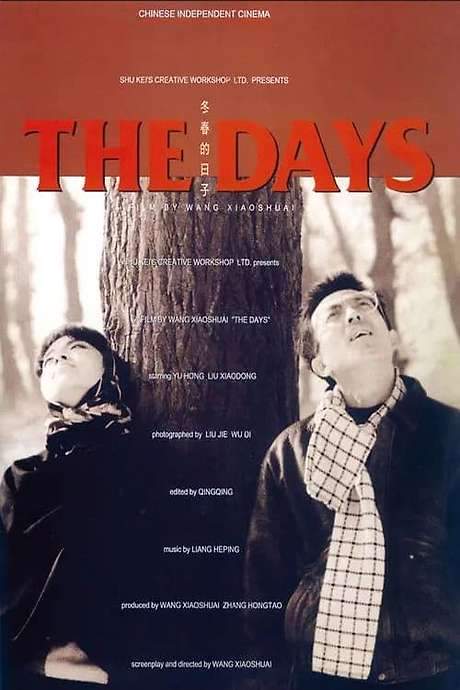 Perfect Days (2023) Full Movie Summary & Plot Explained