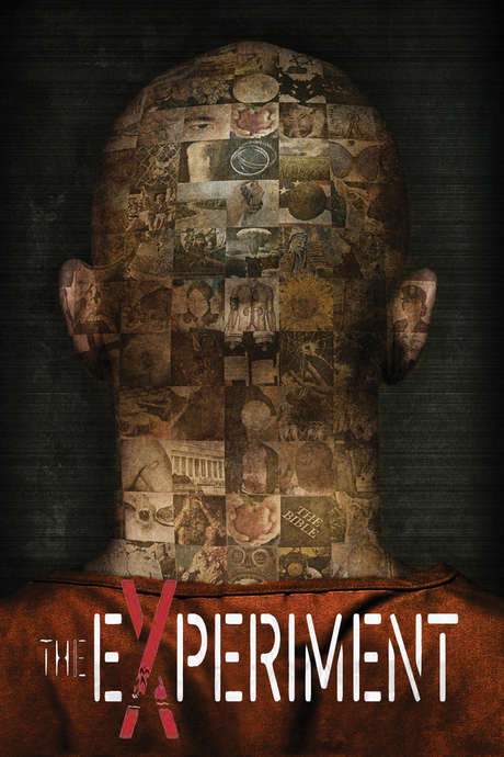 The Experiment (2010) Full Movie Summary & Plot Explained