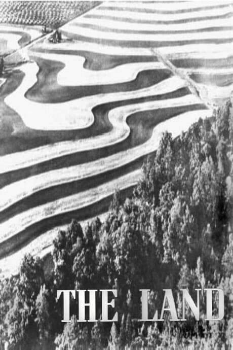 The Land (1942) Spoiler-Free Movie Summary & Plot Overview