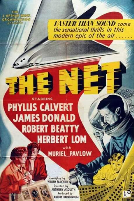 The Net (1995) Full Movie Summary & Plot Explained