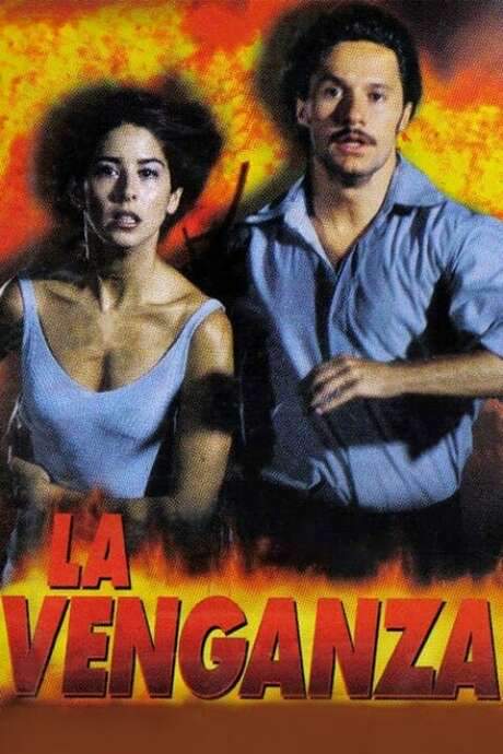 Revenge (1990) – Plot Summary, Cast, Ratings & More | What's After the ...
