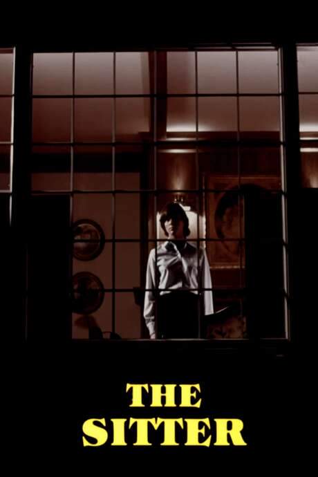 The Sitter (1977) Full Movie Summary & Plot Explained