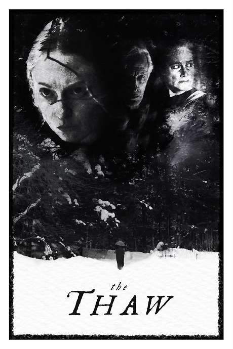 The Thaw (2009) Full Movie Summary & Plot Explained
