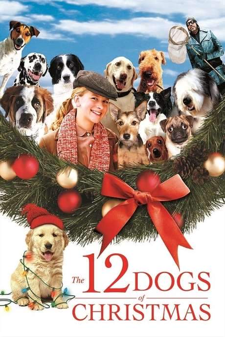 The 12 Dogs of Christmas (2005) Full Movie Summary & Plot Explained