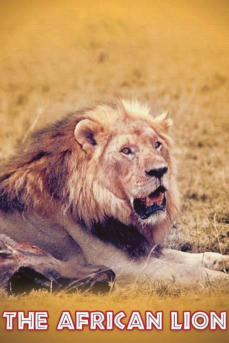 Born Free (1966) Full Movie Summary & Plot Explained