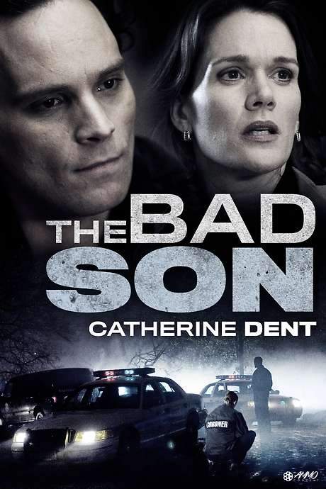 Bad Samaritan (2018) Full Movie Summary & Plot Explained