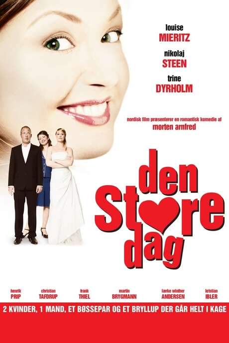 The Big Day (2005) Spoiler-Free Movie Summary & Plot Overview