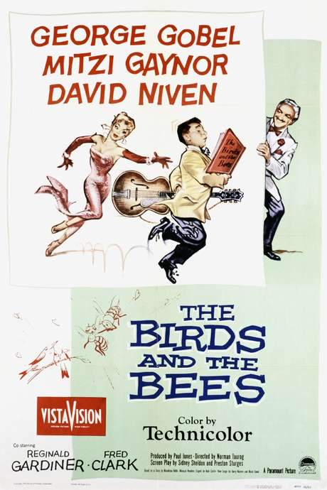 The Birds (1963) Full Movie Summary & Plot Explained