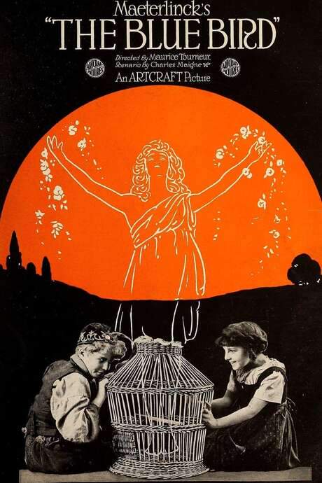 The Blue Bird (1918) Full Movie Summary & Plot Explained