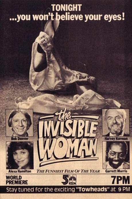 The Invisible Woman (1983) Spoiler-Free Movie Summary & Plot Overview