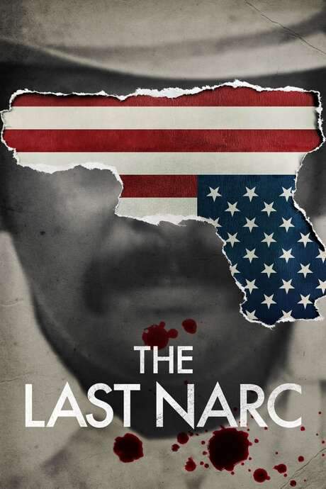 Narc (2002) Full Movie Summary & Plot Explained