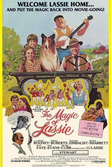 Lassie (1994) Full Movie Summary & Plot Explained