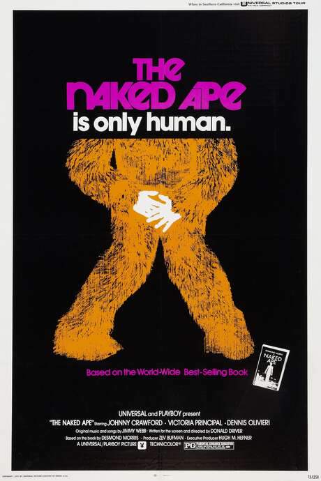 The Naked Ape (1973) Timeline – Scene-by-Scene Guide