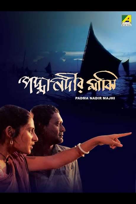 Pad Man (2018) Full Movie Summary & Plot Explained