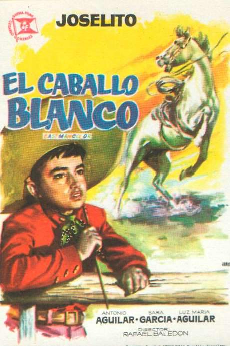 Hidalgo (2004) Full Movie Summary & Plot Explained
