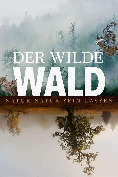 The Wild Forest (2021) Full Movie Summary & Plot Explained