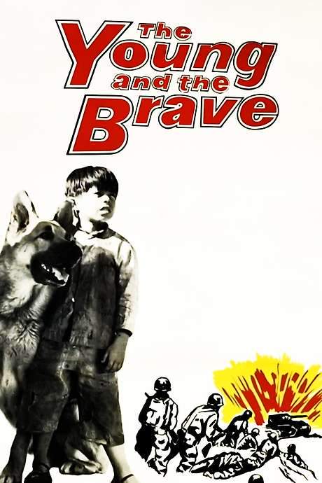 The Young and the Brave (1963) Full Movie Summary & Plot Explained