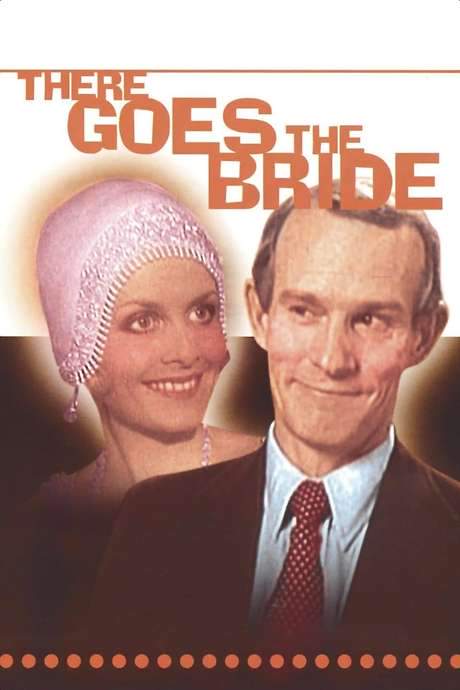 Father of the Bride (1991) Full Movie Summary & Plot Explained