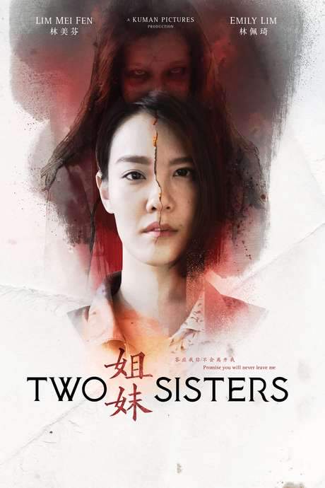 A Tale of Two Sisters (2004) Full Movie Summary & Plot Explained