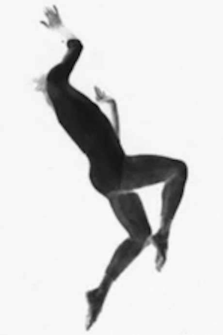 Up (2009) Full Movie Summary & Plot Explained