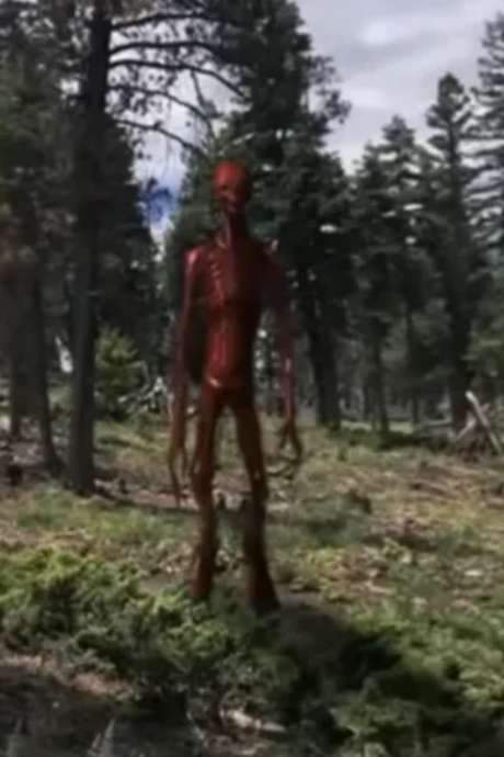Vita Carnis - Living Meat Documentary (2022) Timeline – Scene-by-Scene ...