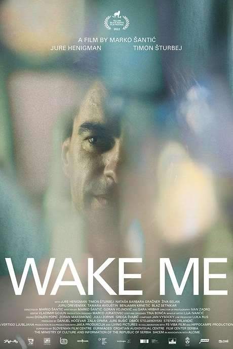 Awake (2007) Full Movie Summary & Plot Explained