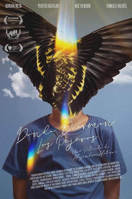 Bird (2024) Full Movie Summary & Plot Explained